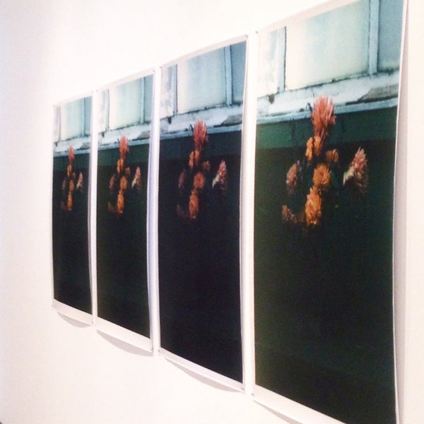 Inman Gallery - Art Gallery in Houston