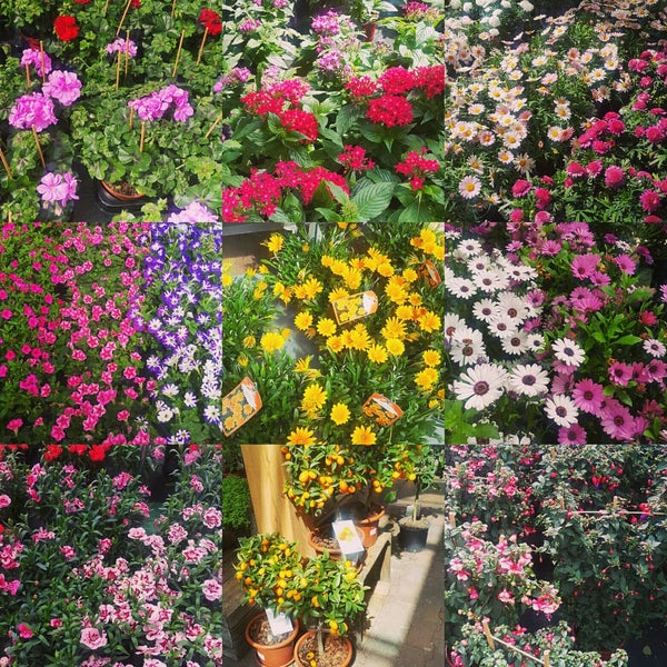 Tuinland - 4 tips from 486 visitors