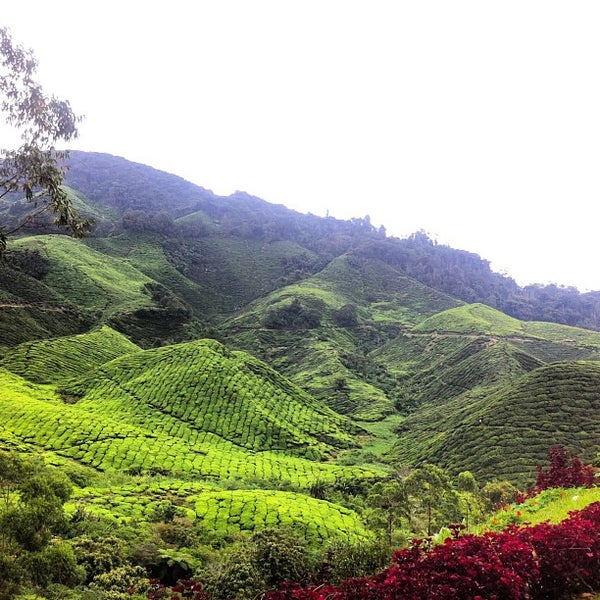 Cameron Highlands - Other Great Outdoors in Cameron Highlands
