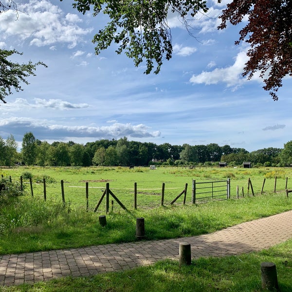 Park Schothorst - Park Schothorst - Schothorsterlaan