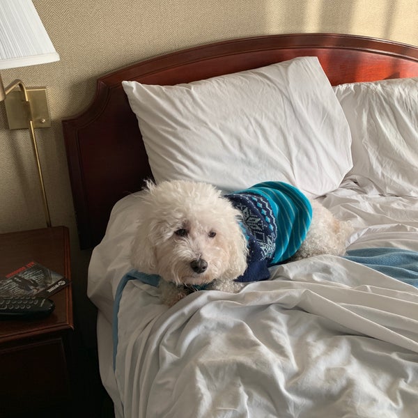 Ramada by Wyndham Reno Hotel and Casino - 1000 E 6th St