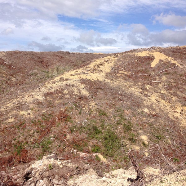 Kaitoke Regional Park - Nature Preserve