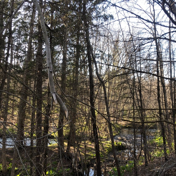 Racebrook Tract - Hiking Trail in Orange