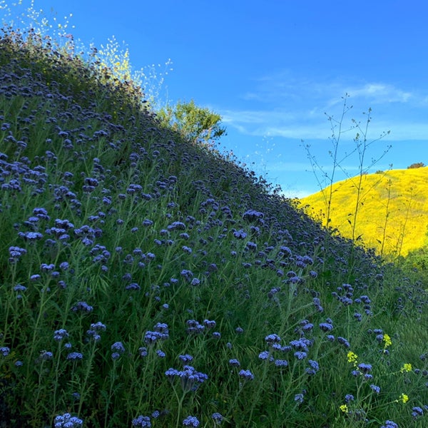 Chesebro Trail - Hiking Trail