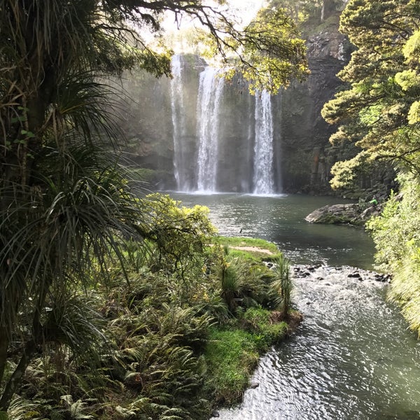 Whangarei Falls - Waterfall
