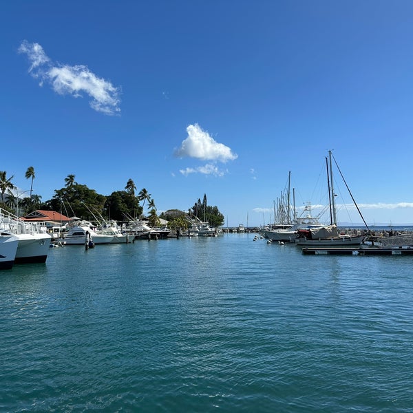 Lahaina Harbor - Harbor or Marina in Lahaina