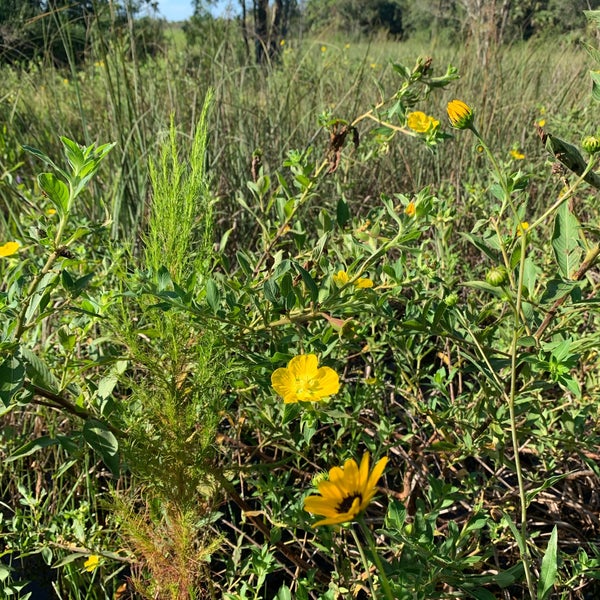 CREW Marsh Hiking Trails - 9 tips from 70 visitors