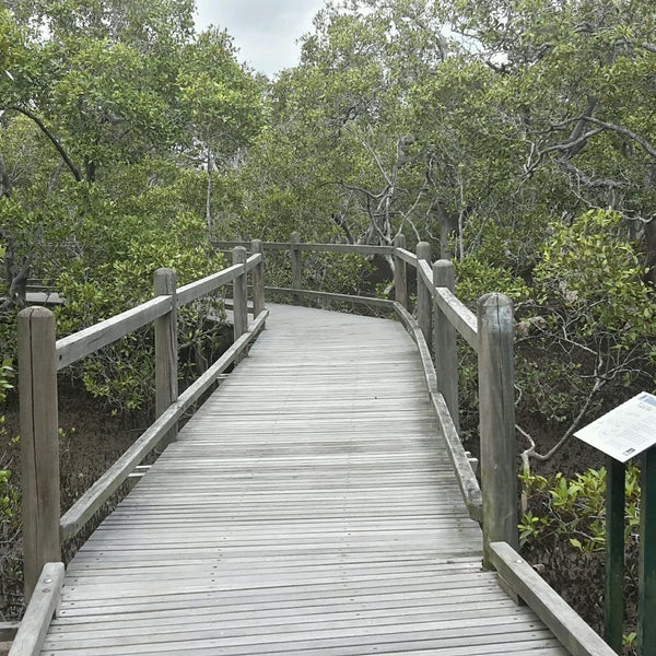 Nudgee Beach Reserve - Nudgee Beach - 3 tips