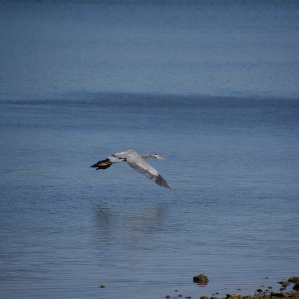 Kentucky Lakes / Prizer Point KOA - Campground in Cadiz