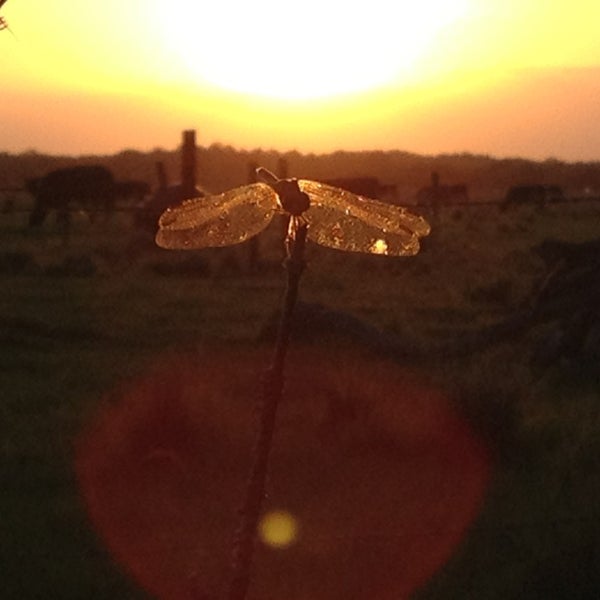 Camp Mars - Campground