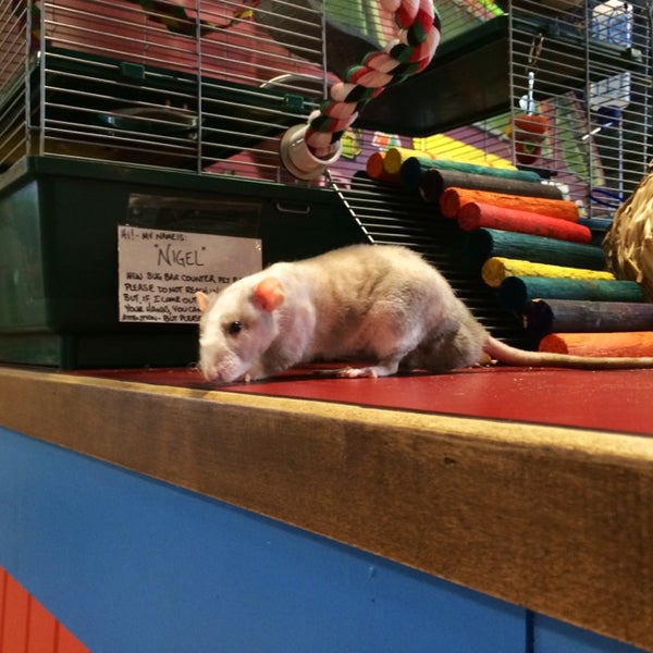 Photos at Preuss Pets - 1127 N Cedar St
