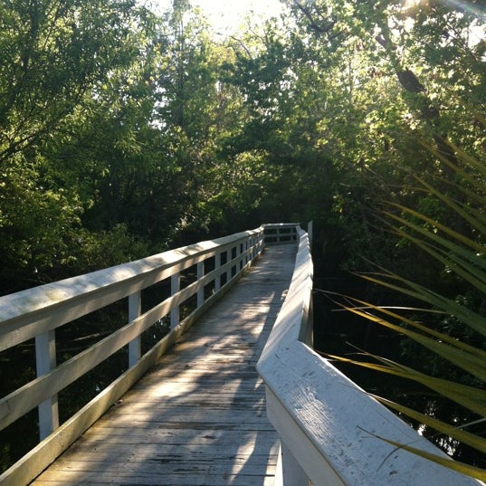 Photos at Demetree Park - Orlando, FL