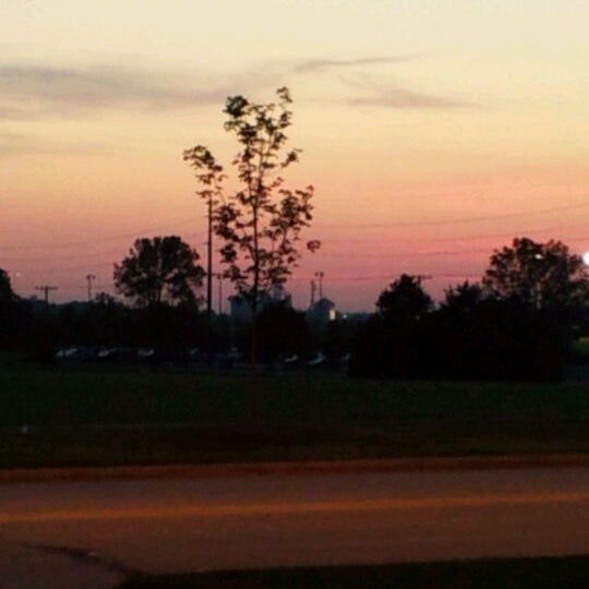 Maxwell Park - 2 tips from 269 visitors