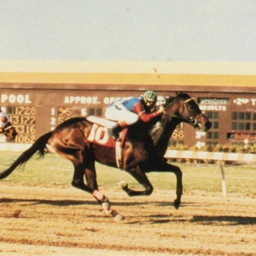 Photos at Turfway Park - Racetrack