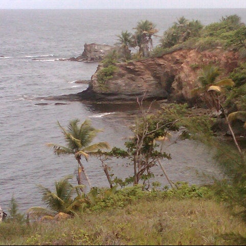 Photos at Palmiste Park - Park in Palmiste