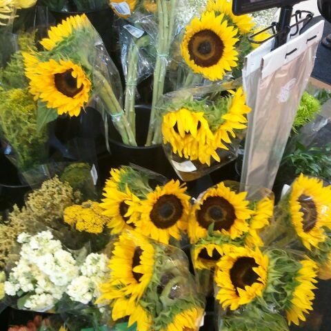 Harris Teeter Flowers Charlotte Nc | Best Flower Site