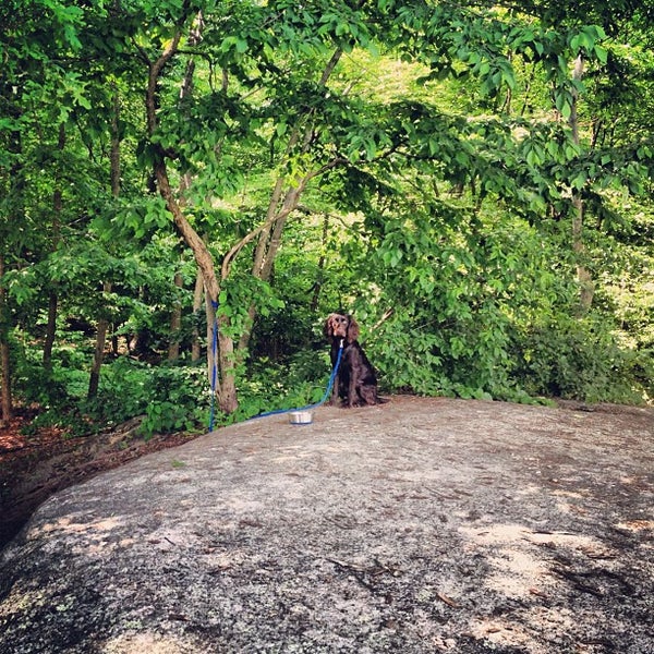 Round Pond Recreational Area - Round Pond Rd