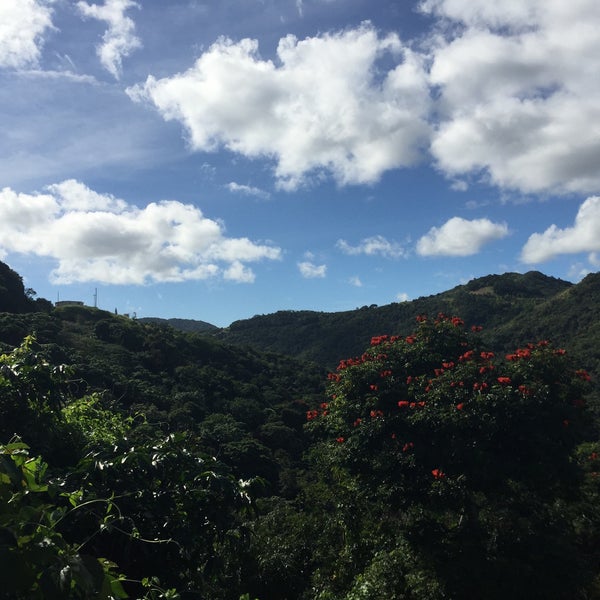 Municipio de Cayey - 11 tips