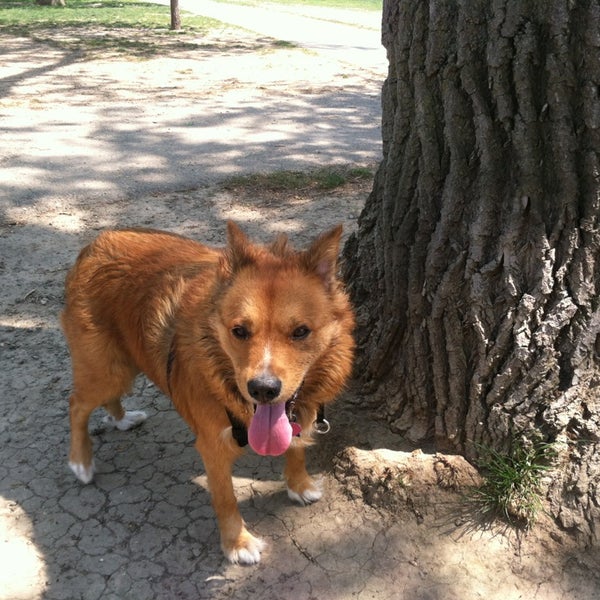 Maloof Statler Dog Park - Dog Park in Saint Clair Shores