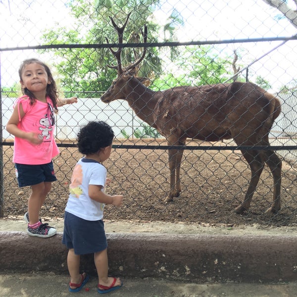 Zoológico de Mulsay - Parque en Mérida
