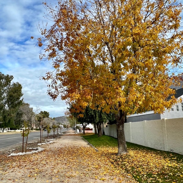 Murphy Bridle Path - 4 tips from 252 visitors