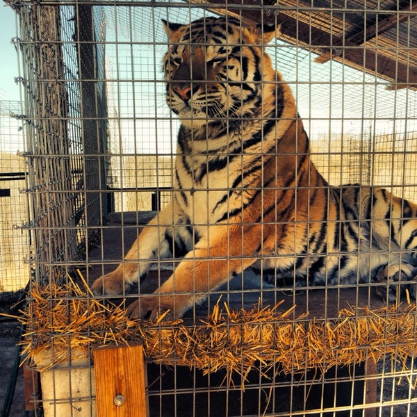 National Tiger Sanctuary - Zoo