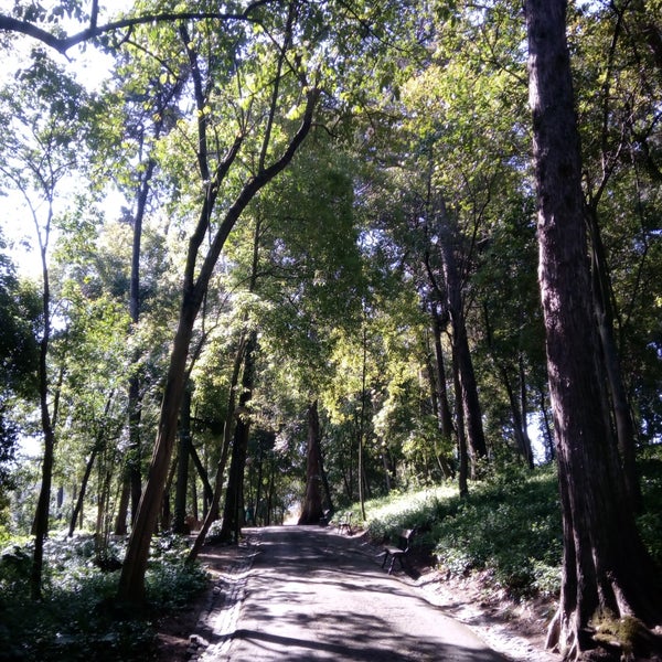 Mata de Benfica - Parque Silva Porto - Park