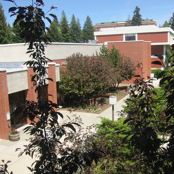 Montana Tech Library - College Library in Butte