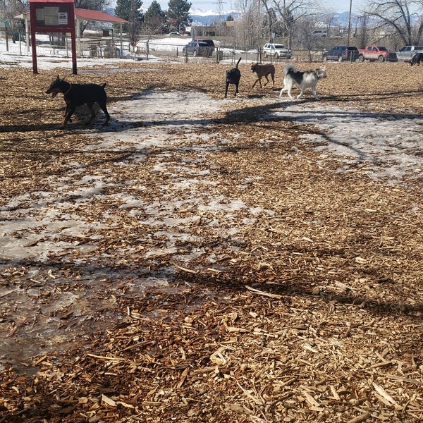 Englewood Canine Corral - Englewood, CO