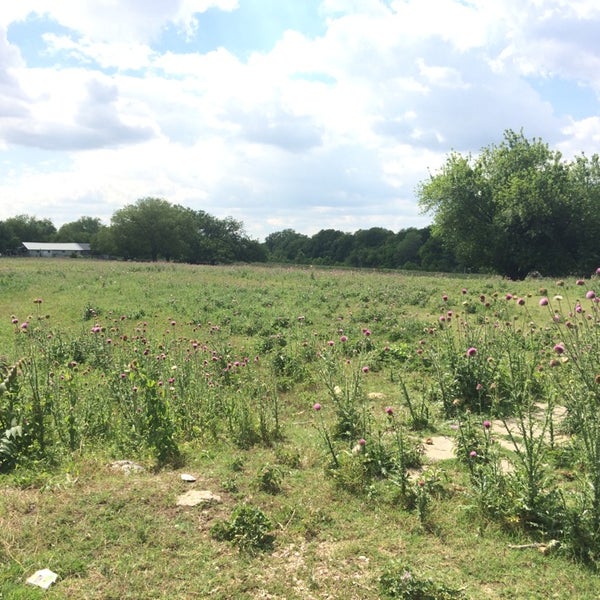 Photos at Ledbetter Station (DART Rail) - Light Rail Station in Dallas