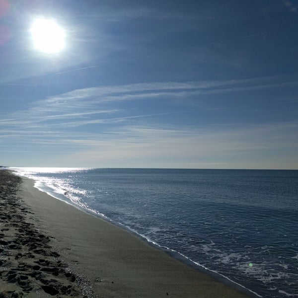 American Beach - Beach