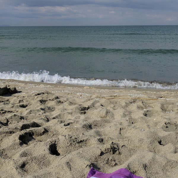 American Beach - Beach