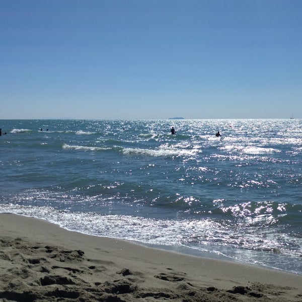 American Beach - Beach
