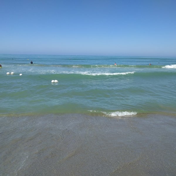 American Beach - Beach