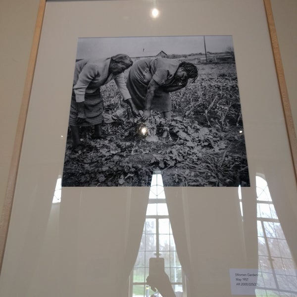 Austin History Center - Library in Downtown Austin