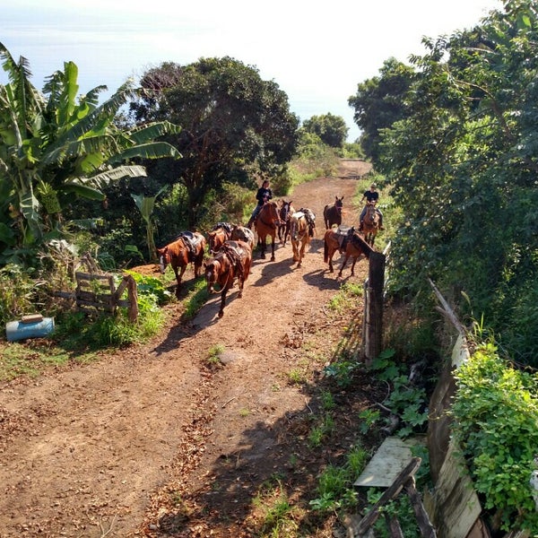 Mendes Ranch - Wailuku, HI
