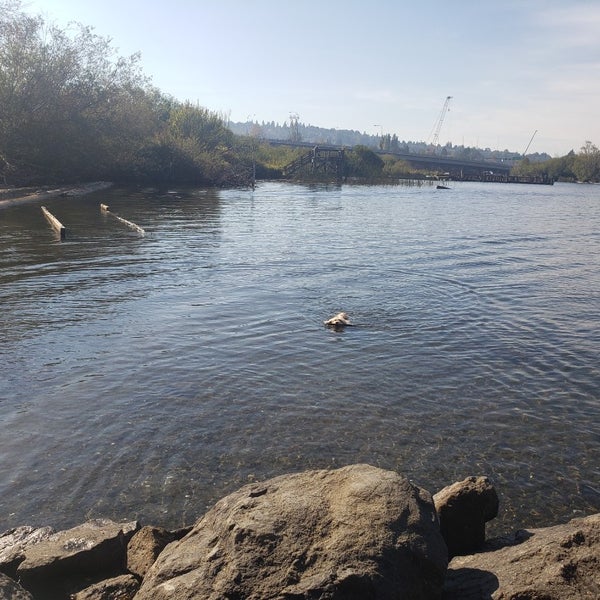 Foster Island - Madison Park - 0 tips