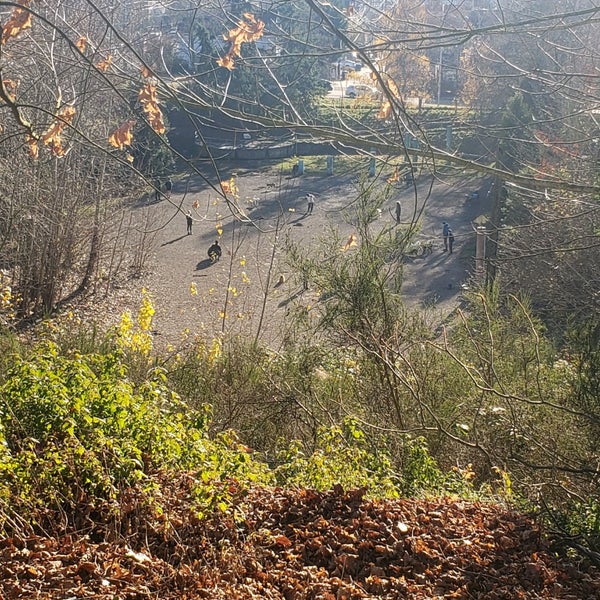 Blue Dog Pond Park - Seattle, WA