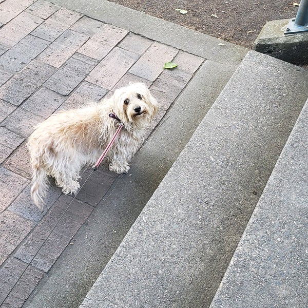 Waterfront Stairs - Building in Seattle