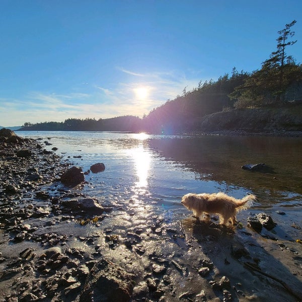 Doe Bay Cafe - 107 Doe Bay Rd