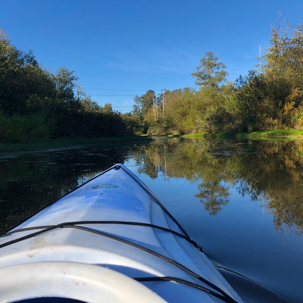 Mercer Slough Nature Park - West Bellevue - 10 tips from 625 visitors