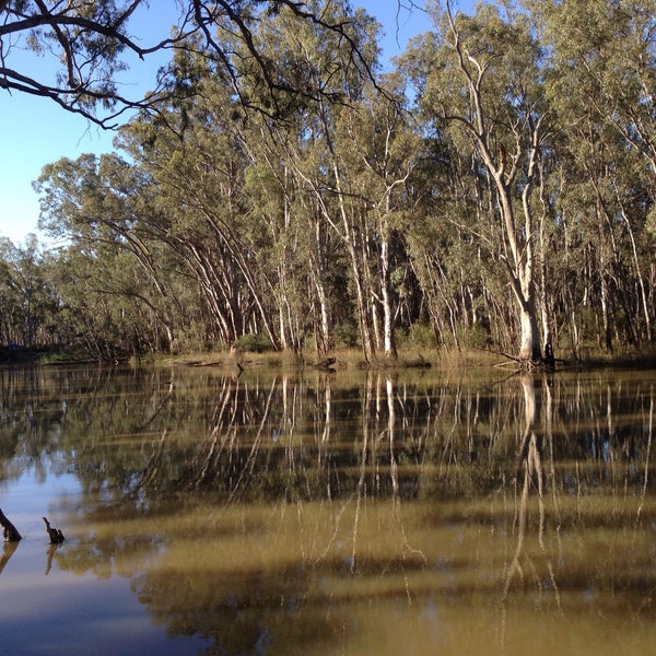 Murray Valley Regional Park - State or Provincial Park in Deniliquin