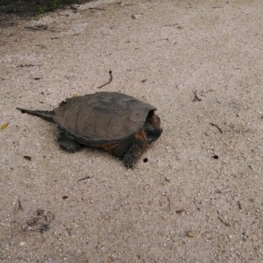 Sac & Fox Trail - Cedar Rapids, IA