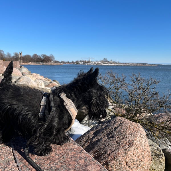 Eiranranta - Munkkisaari - Helsinki, Uusimaa