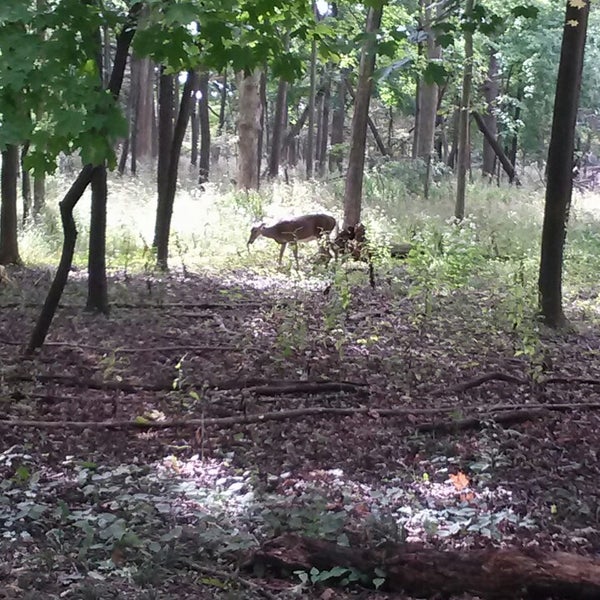Photos at North Branch Trail System (Cook County Forest Preserve ...