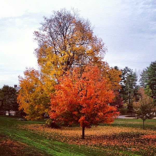 Photos at Congreve Hall - College Residence Hall in Durham