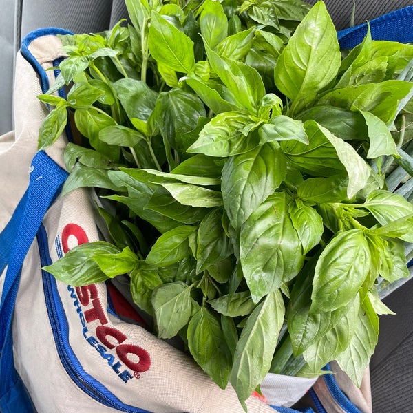 Rottkamp Farm Stand - Glen Head, NY