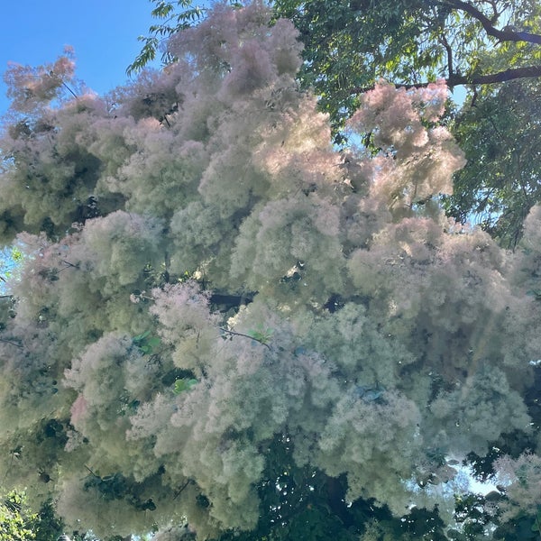 Photos at Engineers' Gate - Central Park - 5th Ave