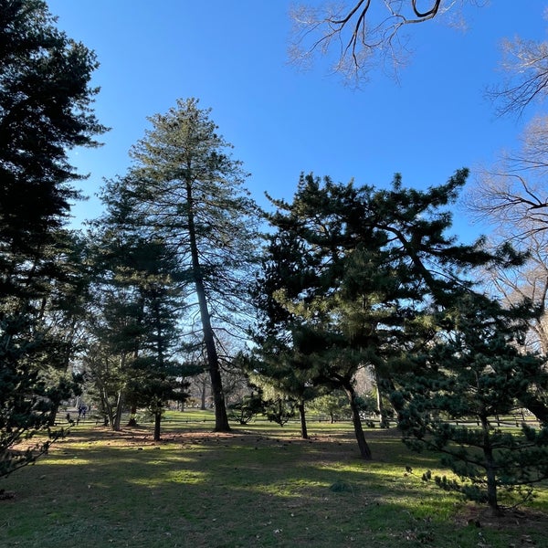 Photos at Arthur Ross Pinetum - Central Park - Central Park W