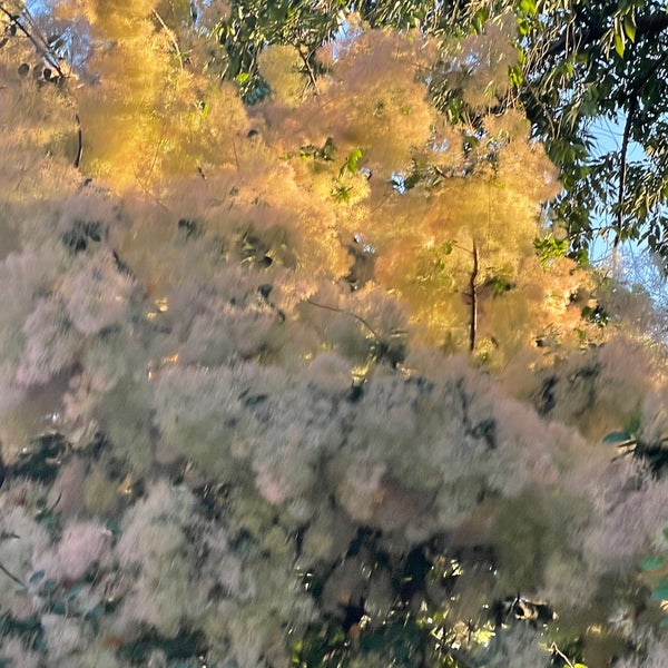 Photos at Engineers' Gate - Central Park - 5th Ave